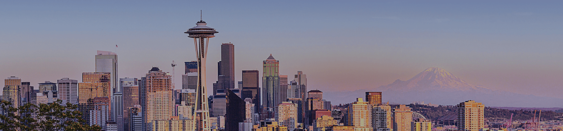 Seattle WA - Business & Litigation Lawyers