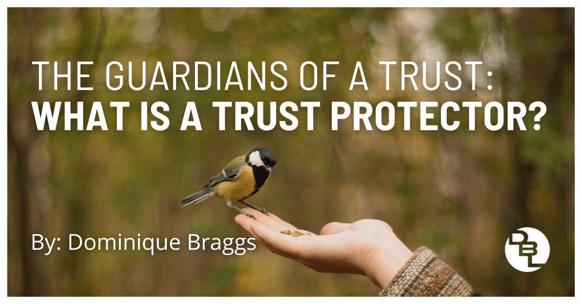 Guardians of a Trust: What is a Trust Protector?